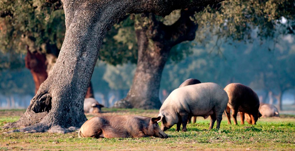 Ligeros movimientos en la Lonja